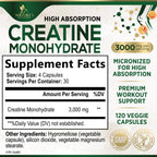3000 mg creatine monohydrate capsules