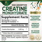 3000 mg creatine monohydrate dosage