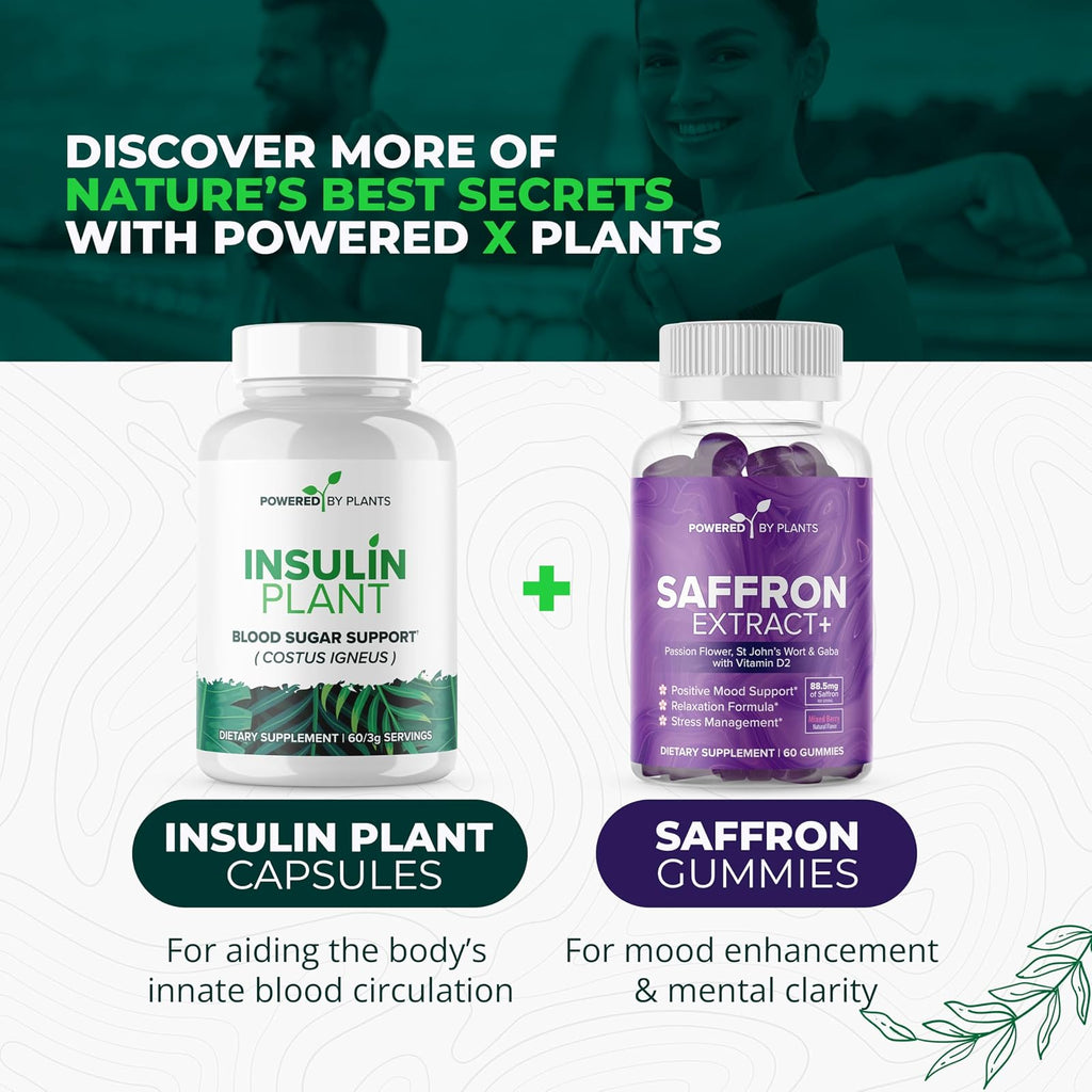 3000 mg Insulin Plant multivitamin capsules