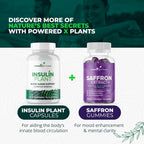 3000 mg Insulin Plant multivitamin capsules