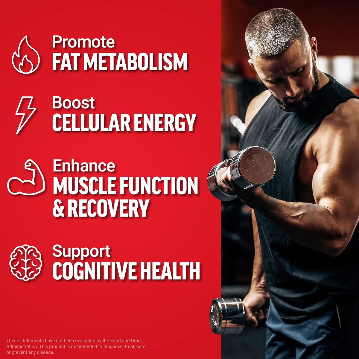 3000 mg L-Carnitine for energy