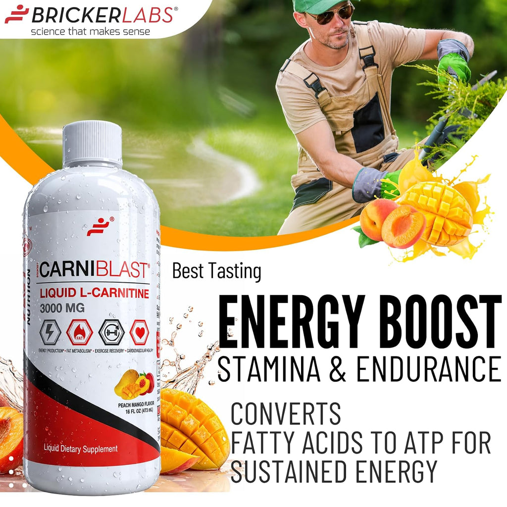 3000 mg l-carnitine liquid formula