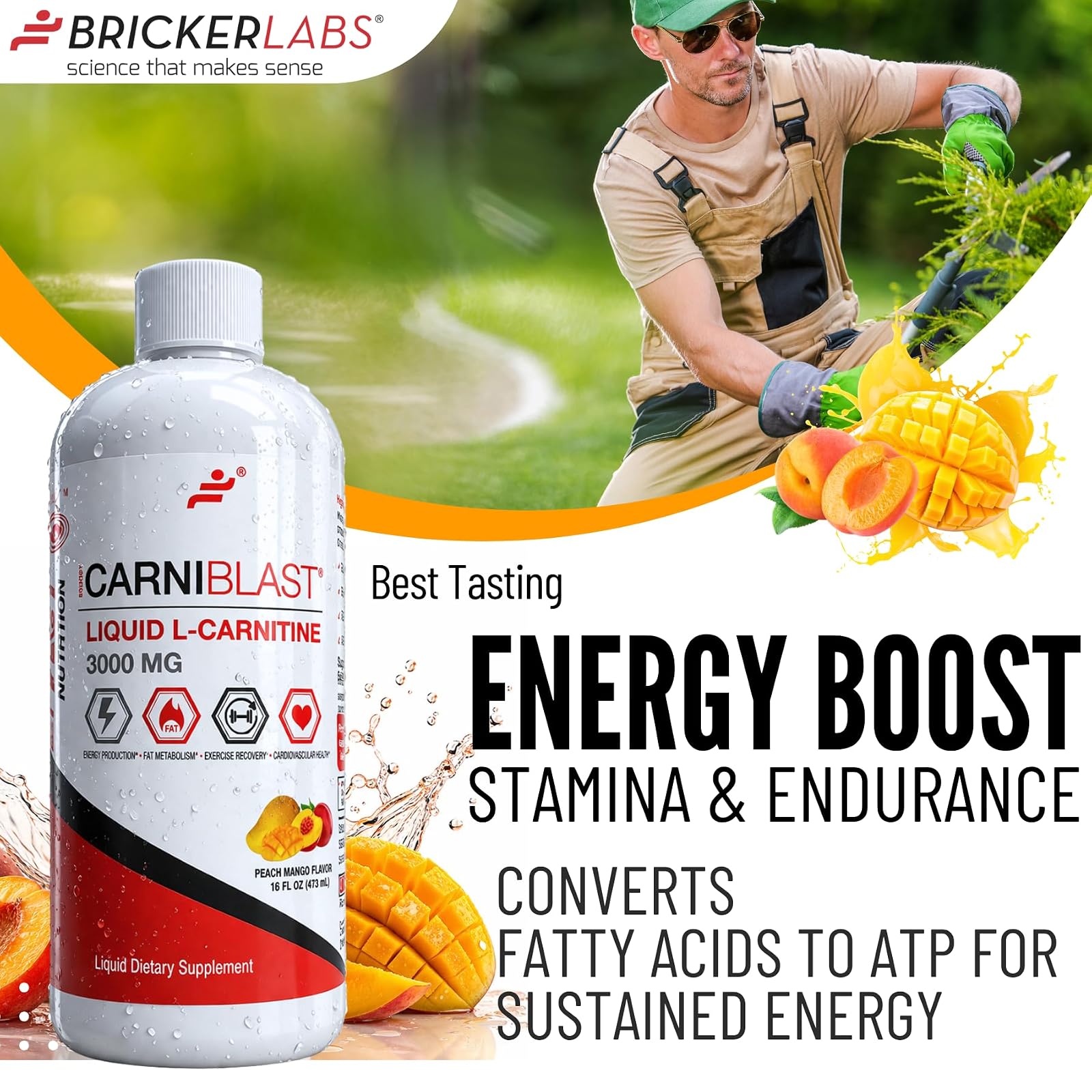 3000 mg l-carnitine liquid formula