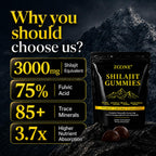 3000 mg Shilajit energy boost