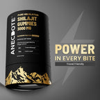 3000 mg Shilajit supplement benefits