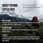 3000 mg thymus extract benefits
