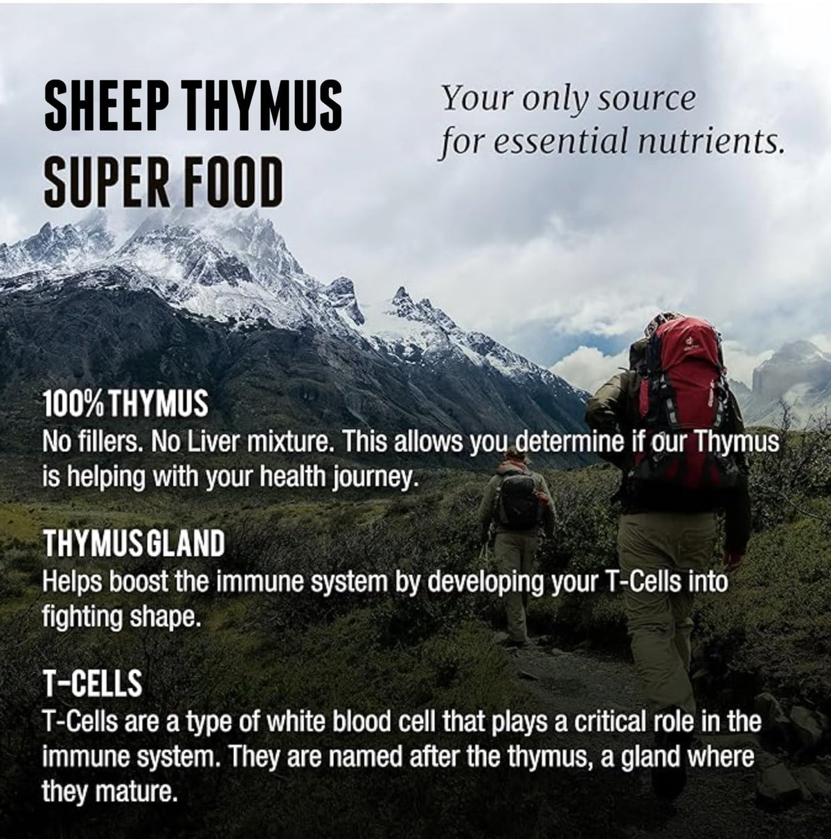 3000 mg thymus extract benefits