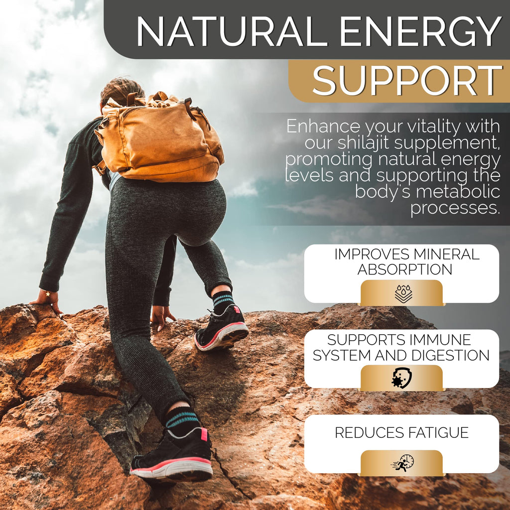 30g Shilajit for energy boost