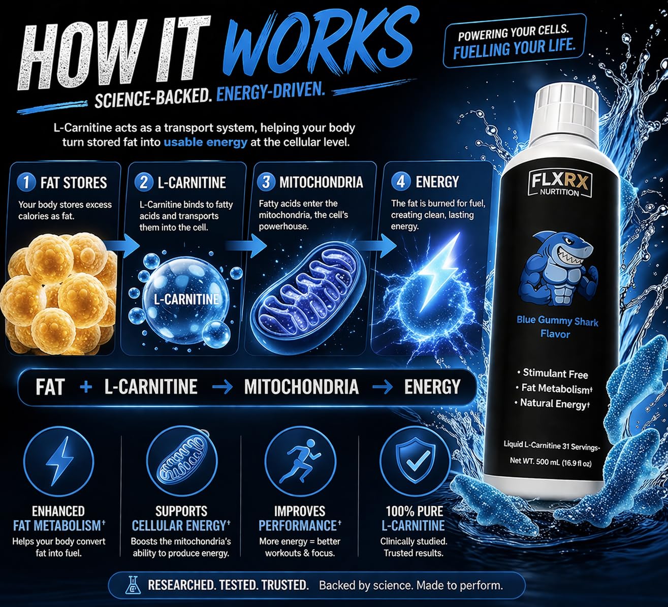 31 servings of L-Carnitine goodness