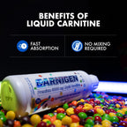 31 servings of l-carnitine