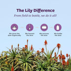 32 fl oz aloe vera juice bottle