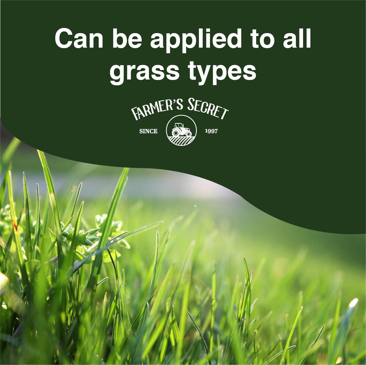 32 oz liquid iron for energy