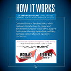 32 servings of L-Carnitine