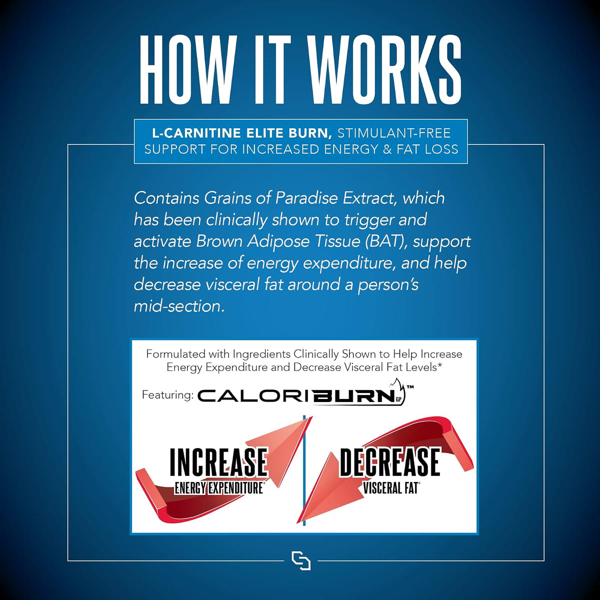 32 servings of L-Carnitine