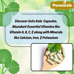 320 capsules for daily wellness
