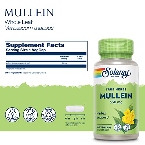 330mg Mullein Leaf health benefits