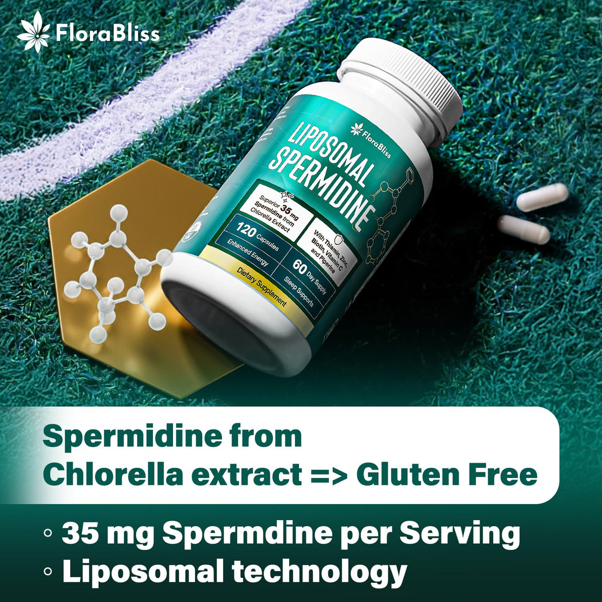 35 mg liposomal spermidine benefits