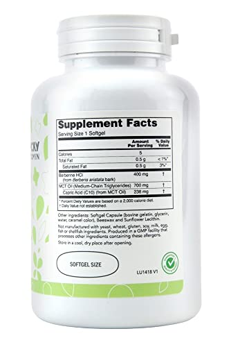 350 mg berberine for daily wellness