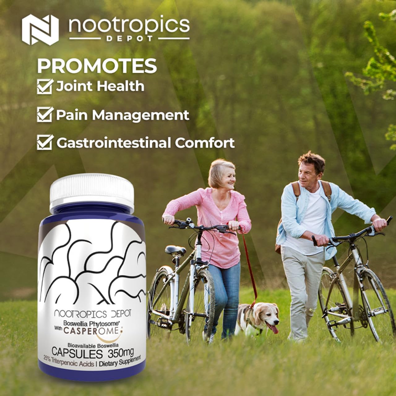 350 mg Boswellia for inflammation support