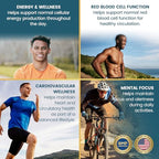 36 mg iron bisglycinate benefits
