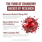 36 mg PAC cranberry extract benefits