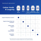 360 capsules of pure echinacea