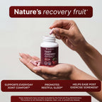 360 mg Montmorency cherry health benefits