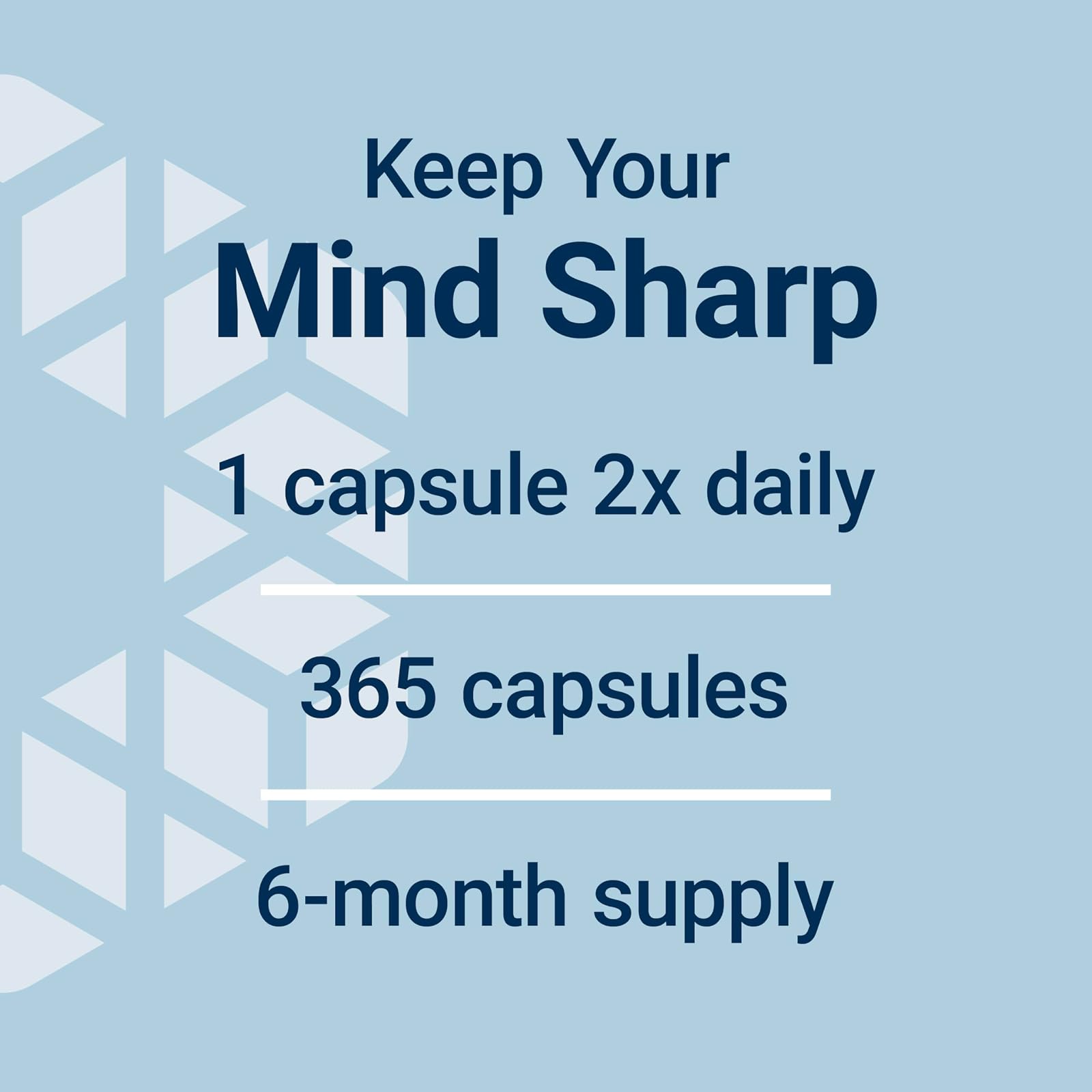 365 capsules of ginkgo biloba for daily use