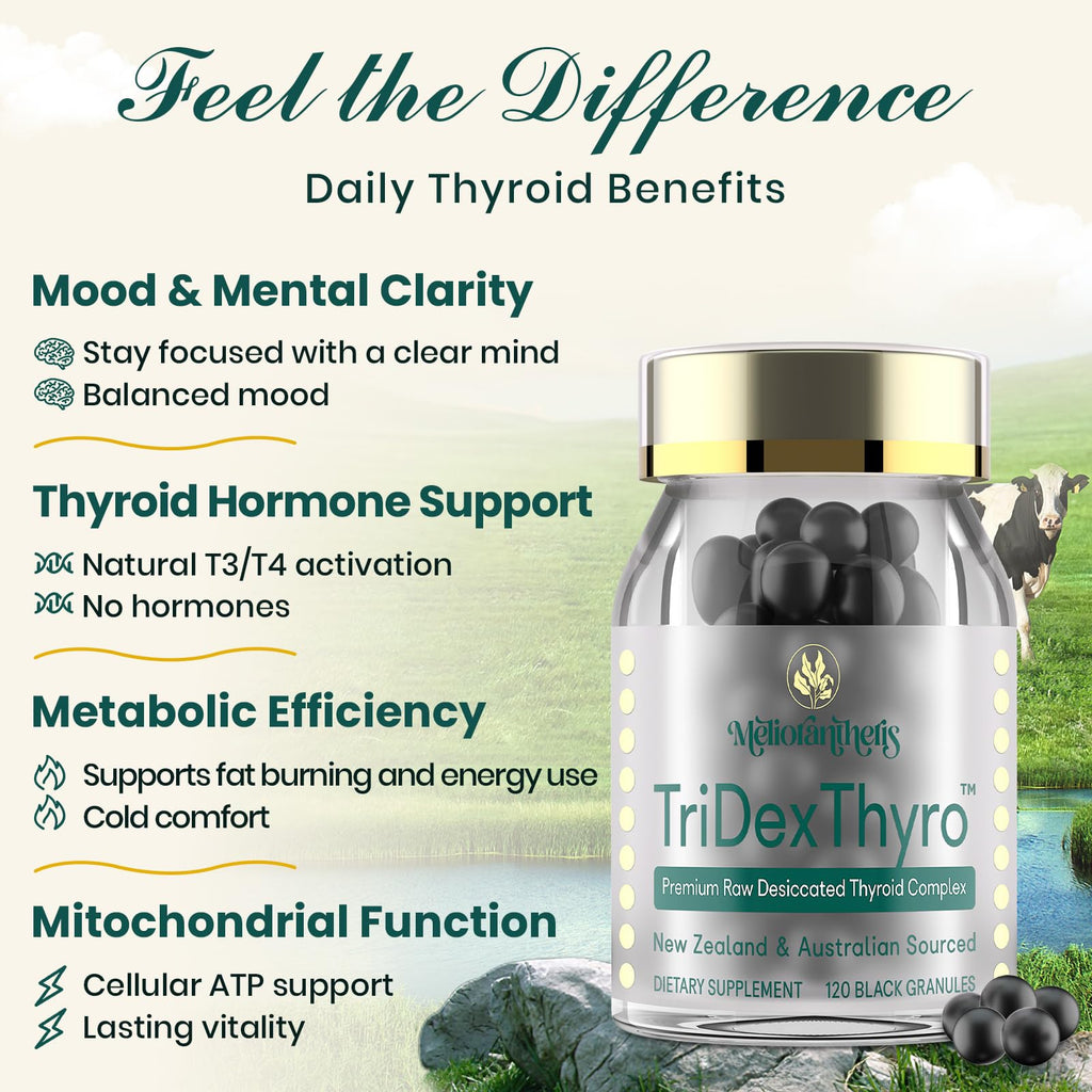375 mg desiccated thyroid complex
