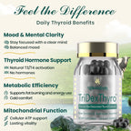 375 mg desiccated thyroid complex