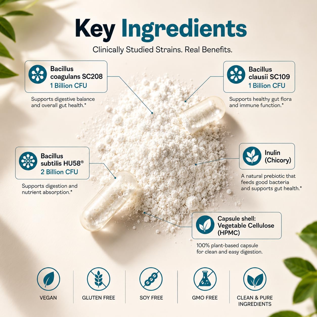 4 billion CFU probiotic support