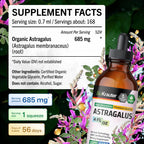 4 fl oz astragalus tincture benefits
