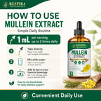 4 fl oz Mullein herbal supplement