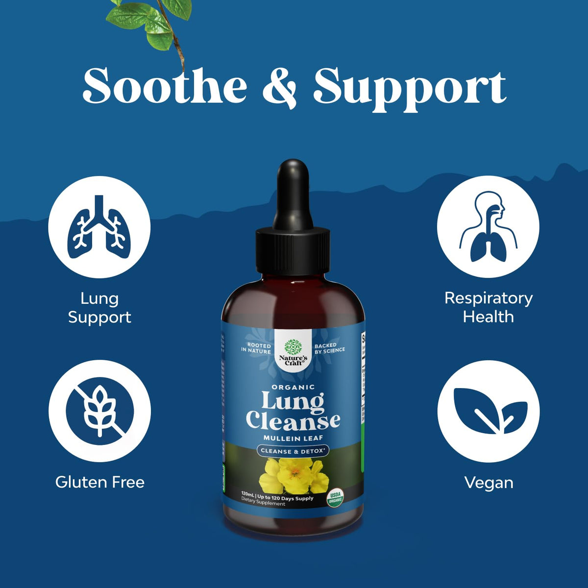 4 Fl Oz mullein liquid supplement