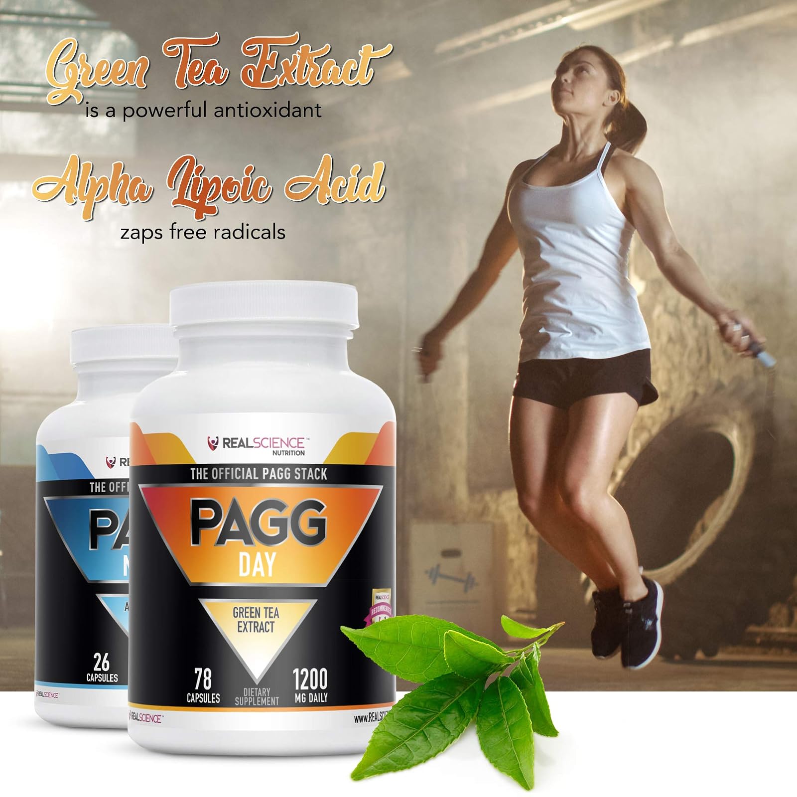 4 hour body green tea extract