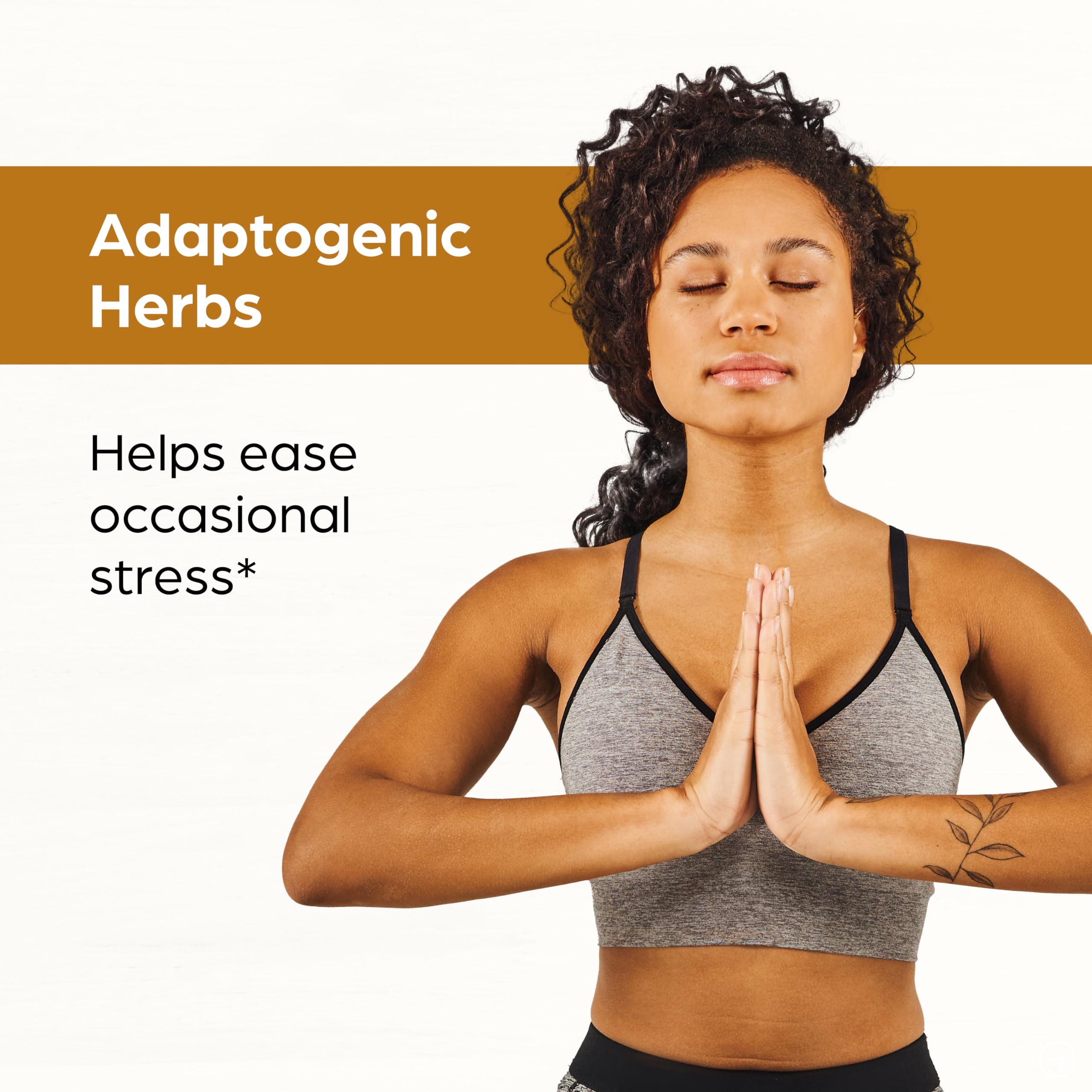 4-in-1 ashwagandha with holy basil benefits