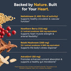 4 in 1 blood pressure multivitamin