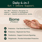 4-in-1 probiotics for digestive support