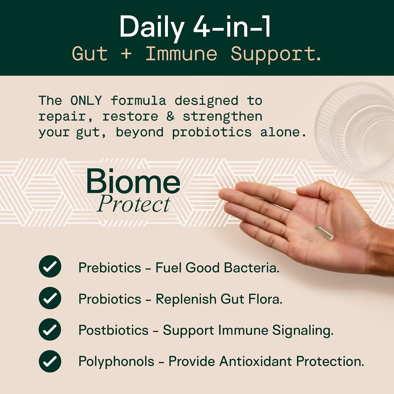 4-in-1 probiotics for digestive support