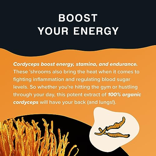 4 oz cordyceps mushroom powder benefits
