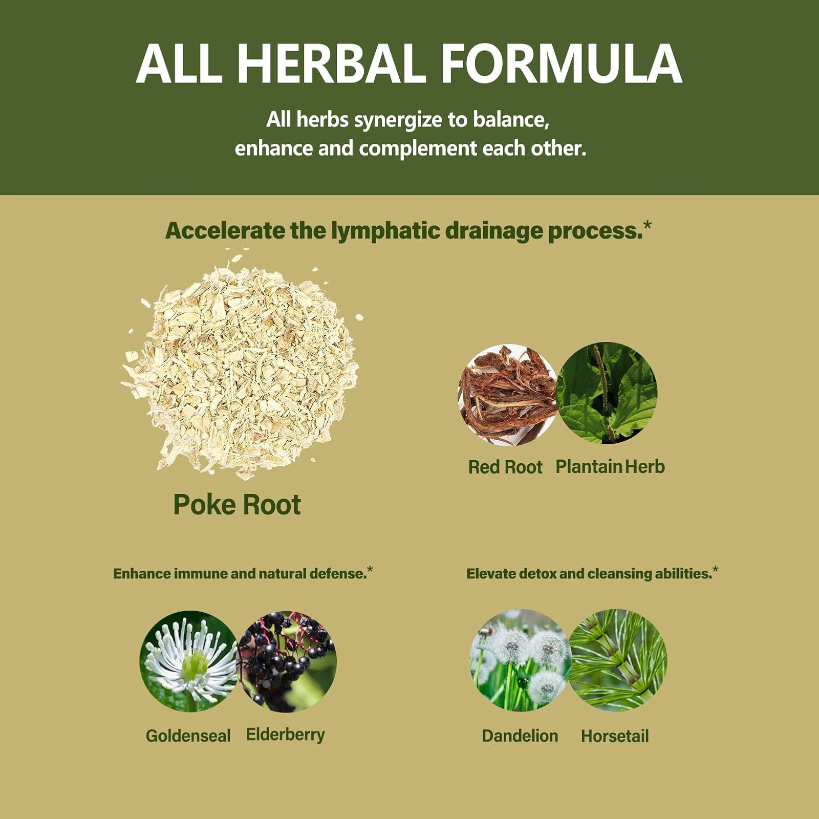 4 oz dandelion extract benefits