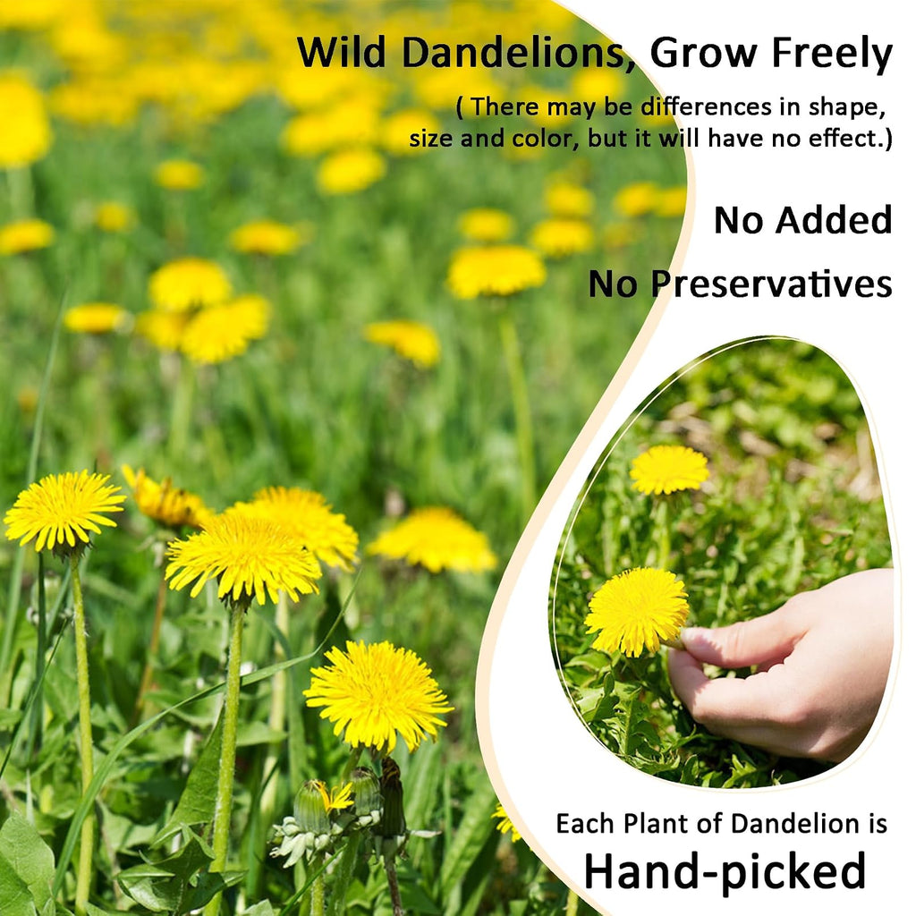 4 oz dandelion root tea package