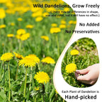 4 oz dandelion root tea package
