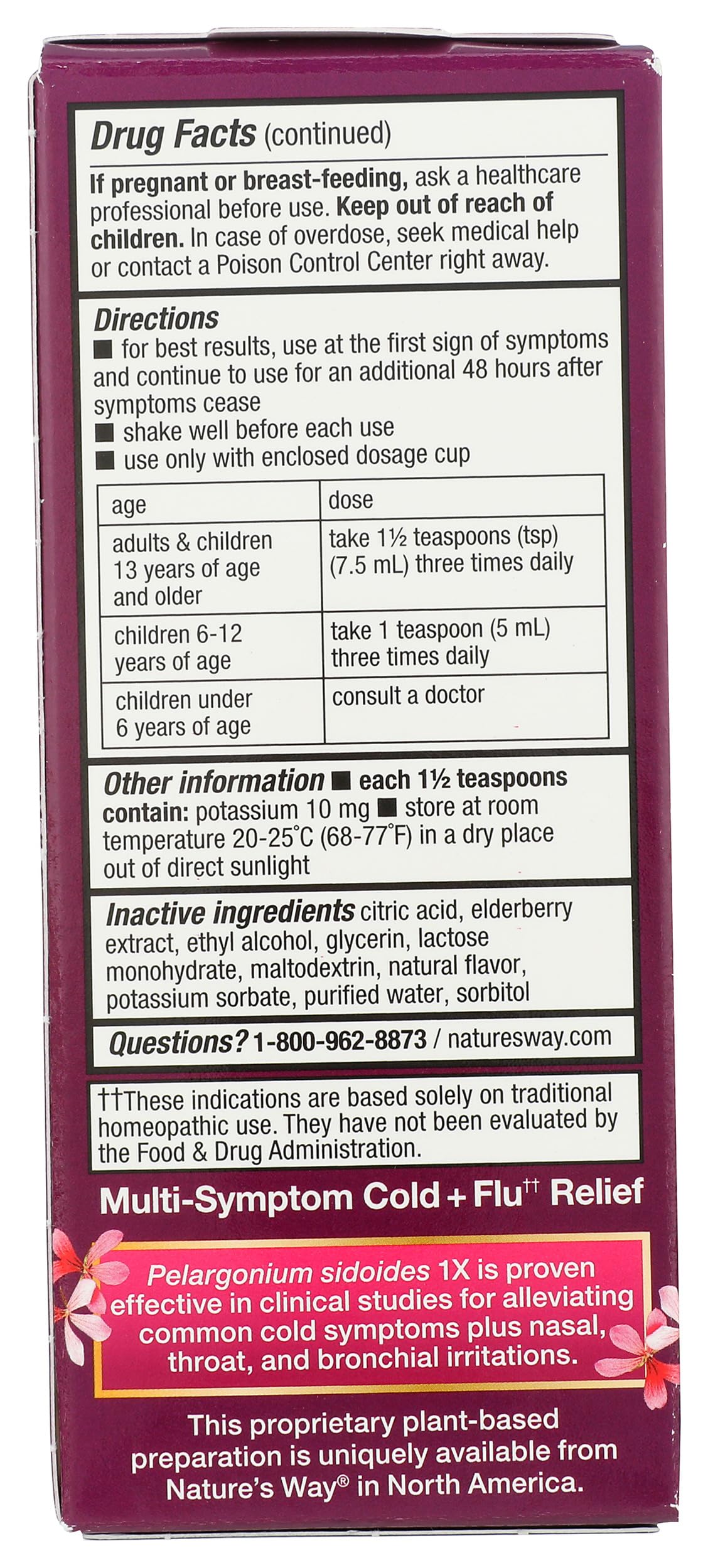 4 oz elderberry syrup for wellness