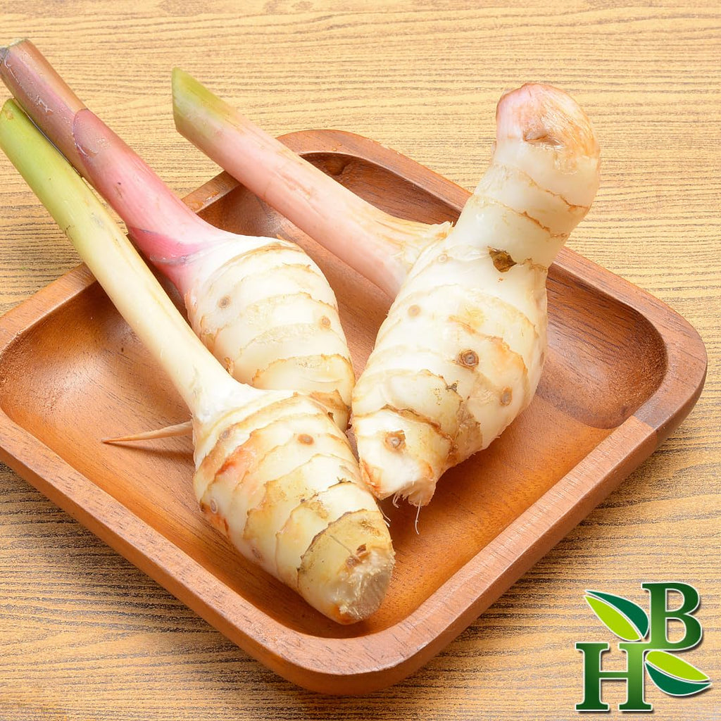 4 oz galangal root tea package