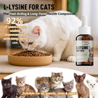 4 oz l-lysine for feline health