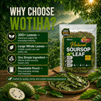 4 oz soursop leaves for brewing