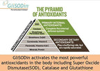 4 packs of STC30 multivitamins