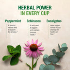 40 bags of Bell herbal tea
