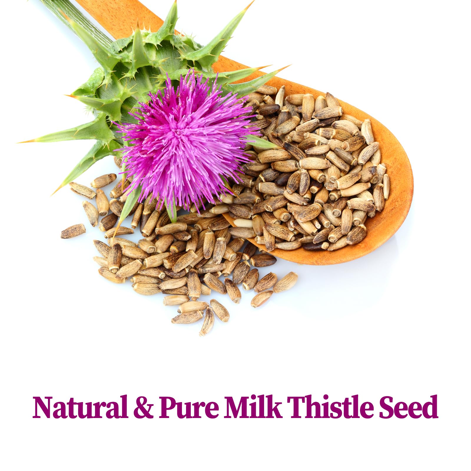 40 count milk thistle tea